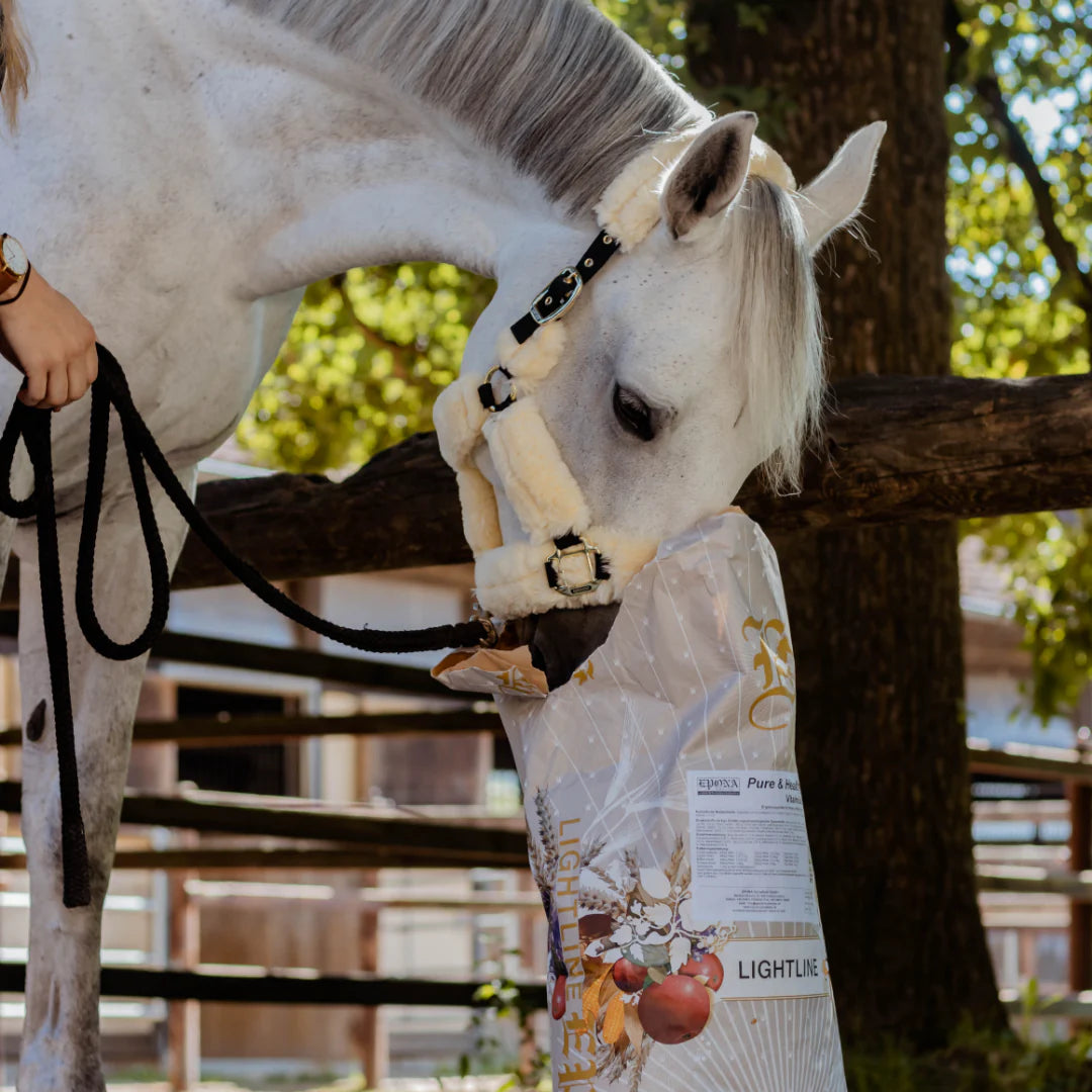 BEWEGUNGSAPPARAT – EPONA Horsefeed GmbH